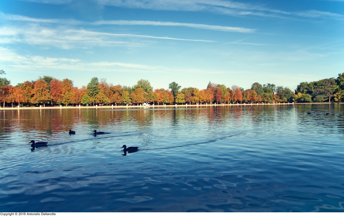 Estanque grande del Retiro - Patrimonio cultural y paisaje urbano